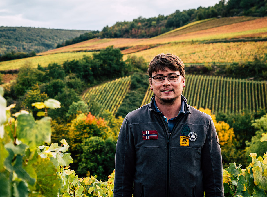 Vins Sur Vingt | Wine lovers united